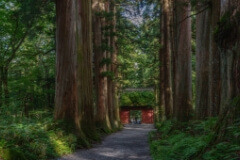 Togakushi Half-Day Itinerary: Explore the Five Shrines and Cedar Avenue ...